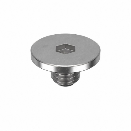 Grainger Z1920 | 45GF33 | ネジ、1/2 インチ - 13 スレッド サイズ、SS、ソケット、フラット、プレーン | 日本